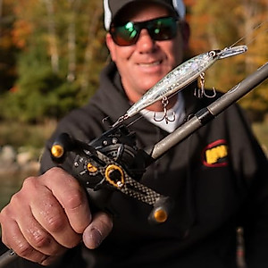 Lew's TP1SHA Tournament Pro LFS Speed Spool Bait Cast Reel, 7.5:1 120/12, RH, ACB, 120/12 - 31" Black