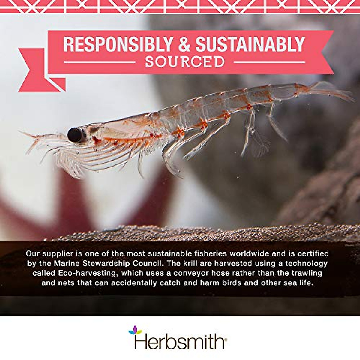 Herbsmith Pure Krill - Wild-Caught Antarctic Krill - Just 1 Ingredient - Astaxanthin for Dogs - Ready-to-Use Omega 3s – Alternative to Krill Oil for Dogs - 75g