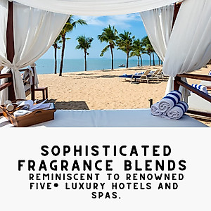 The Diamond Life Home "Citrus" Lemon & Mango Carpet Natural Refresher Powder, Mattress & Upholstery Freshener, Odor Eliminator, Deodorizer For Homes With Kids & Pets(2 Pack)