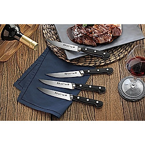 Cangshan V2 Series 1020373 German Steel Forged 4-Piece Steak Knife Set, 5-Inch Blade