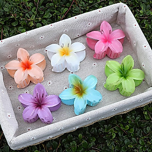 Sisiaipu Hawaiian Flower Hair Clips for Women 6 Pack Flower Hair Claw Clips Plumeria Claw Clips for Thin Hair Large Claw Clips for Thick Hair Beach Tropical Hair Accessories for Girls -Hawaii