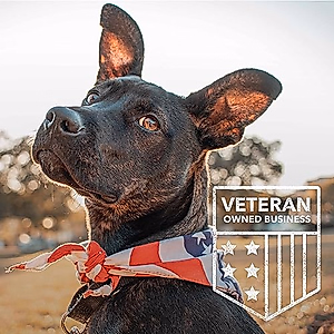 iHeartDogs Heartbeat Puppy Toy - Comfort Cuddler Pillow - Dog Anxiety Toy