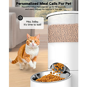 SURDY Automatic Cat Feeder for 2 Cats, 3L Cat Food Dispenser Auto Cat Feeder with 2 Stainless Bowls, 10s Meal Call Dual Power Supply and Timer Setting 12 Portions 6 Meals Per Day for Cats (White, 3L)