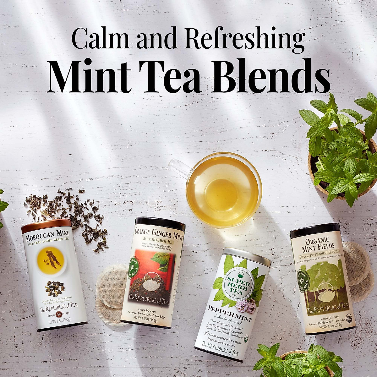 The Republic of Tea - Orange Ginger Mint Herbal Tea, 36 Tea Bag, Tin | Caffeine-free