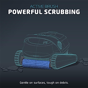 Dolphin Genuine Replacement Part — Active Blue Brush Kit — 9995545-ASSY