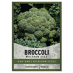 Broccoli Seeds for Planting is A Great Heirloom, Non-GMO Vegetable Variety- 1 Gram Seeds Great for Outdoor Spring, Winter, and Fall Gardening by Gardeners Basics