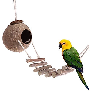 Natural Coconut Shell with Wood Ladder Bird Breeding Nest Bed Perch Swing Toy for Parrot Budgie Parakeet Cockatiel Conure Lovebird Canary Finch Small Parrot Hamster Rat Chinchilla Cage