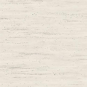 Bush Furniture Salinas L Shaped Desk with Hutch and Lateral File Cabinet, 60W, Antique White