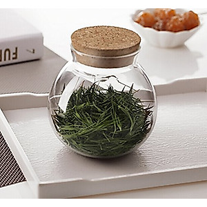 TOPWEL 500 Ml (17 Fl Oz) Round Clear Glass Favor Jar Storage Jar, with Cork Stopper