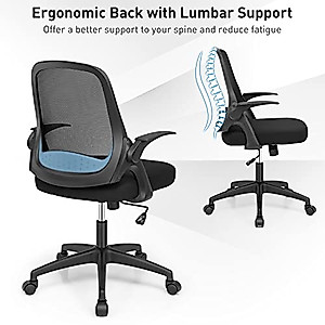 COSTWAY Mesh Office Chair, Adjustable Swivel Executive Chair with Flip-up Armrest, Lumbar Support and Rocking Backrest, Ergonomic Breathable Computer Desk Chair for Home Office (Black)