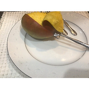 Mango Forks set of 4