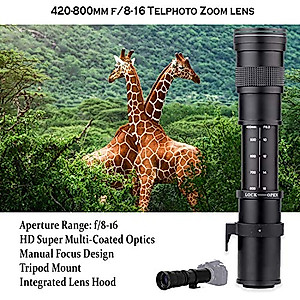 Canon EOS 90D DSLR Camera Kit with Canon 18-55mm & 75-300mm Lenses + 420-800mm Telephoto Zoom Lens + TTL Flash (Upto 180 Ft) + Commander Microphone + 128GB Memory + Accessory Bundle