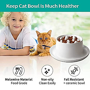 Raised Slow Feeder Cat Bowl, Fish Pool Design Elevated Slow Feeder Dog Bowls, Fun Interactive Bloat Stop Cat Slow Feeder Dry Food, Reduces Neck Burden Slow Down Eating Anti Vomiting Non-Slip No Spill
