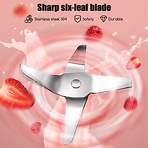 JLLOM Mini Blender Personal Portable Blender Cup for Smoothies Shakes, Portable Juicer USB Rechargeable for Travel, Small Electric Blender On The Go with Silicone Straw & Straw Cleaning Brush (Pink)