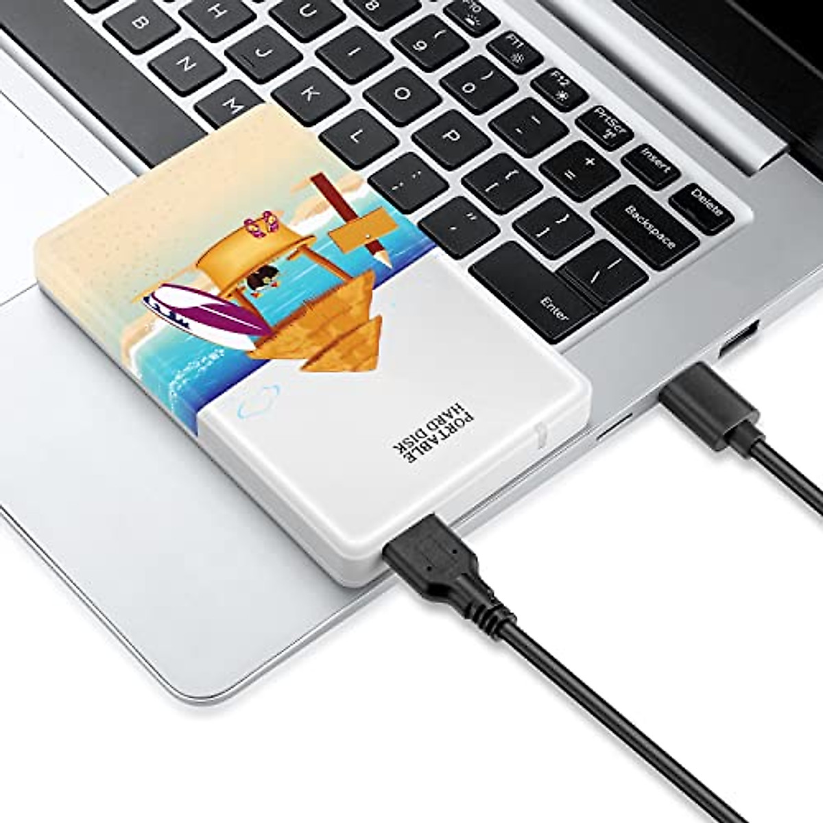 NRICO 2.5 inches Ultra Slim Portable External Hard Drive USB3.0 HDD Storage Mobile Hard Disk Compatible for PC, Mac, Desktop, Laptop (320GB, Beach)