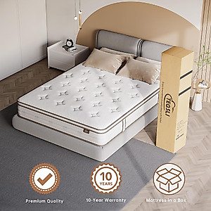 TeQsli 10 Queen Mattress
