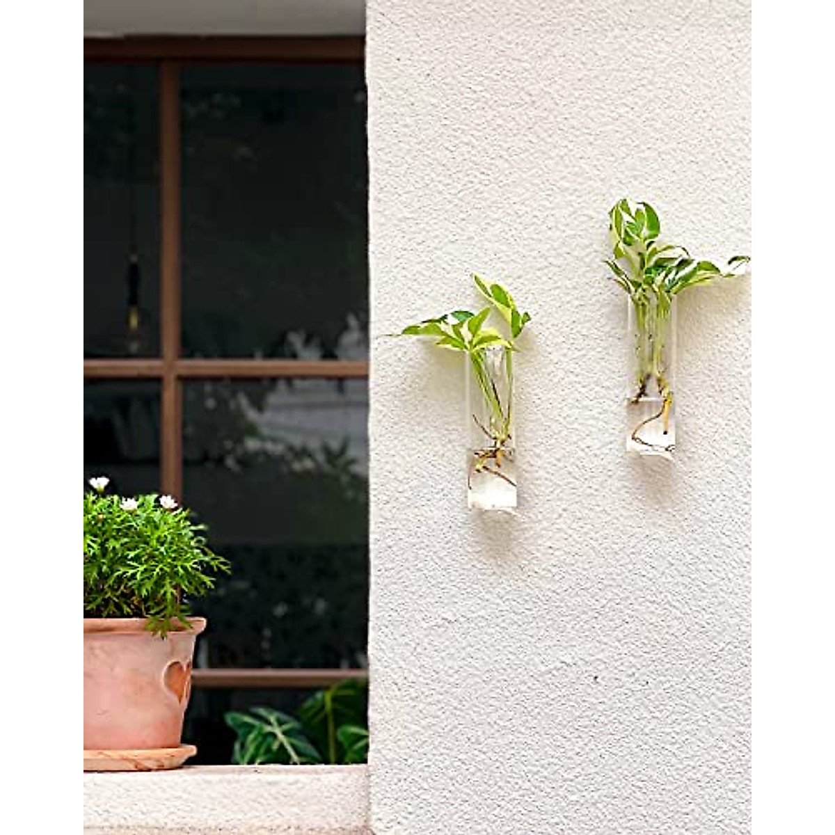 Ivolador 4PCS Wall Hanging Glass Plant Terrarium Container Cylinder Shape Perfect for Propagating Hydroponic Plants Home Office Garden Decor Wedding