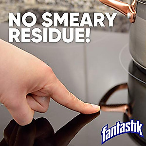 Fantastik All-Purpose Cleaner, With Bleach, 32 Fl Oz