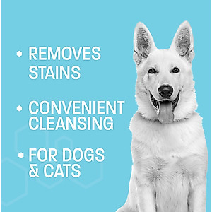 Pet Health Pros Dog Eye Wipes Tear Stain Remover for Dogs & Cats - Cat and Dog Tear Stain Remover Wipes - Cat Eye Wipes to Clean Tear Stains, Crust and Dirt - Fragrance Free Eye Wipes for Dogs - 60 ct
