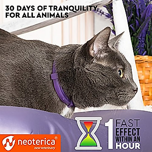 Cat Calming Collar & Pet Anti Anxiety Products - Feline Calm Pheromones Collars & Cats Stress Relief - Relaxivet Comfort Helps with Pee, New Zone, Aggression, Fighting with Dogs & Other Behavior