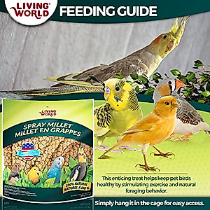 Living World Spray Millet, 17.6 Oz