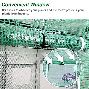 ABCCANOPY 8'x6' Pop Up Greenhouse Walk-in Garden Greenhouse for Indoor Outdoor Gardening with Roll-Up Door and Windows