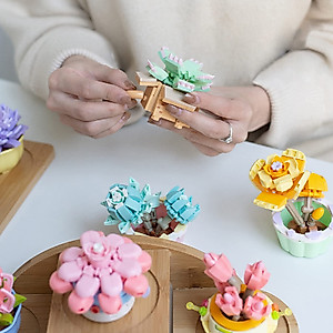 MEIEST Mini Succulent Bonsai Building Blocks Set,Creative Simulation Pot Plant Artificial Particle Flower Botanical Collection Construction Building Bricks Toy,Cute Home Decor (Tiger)