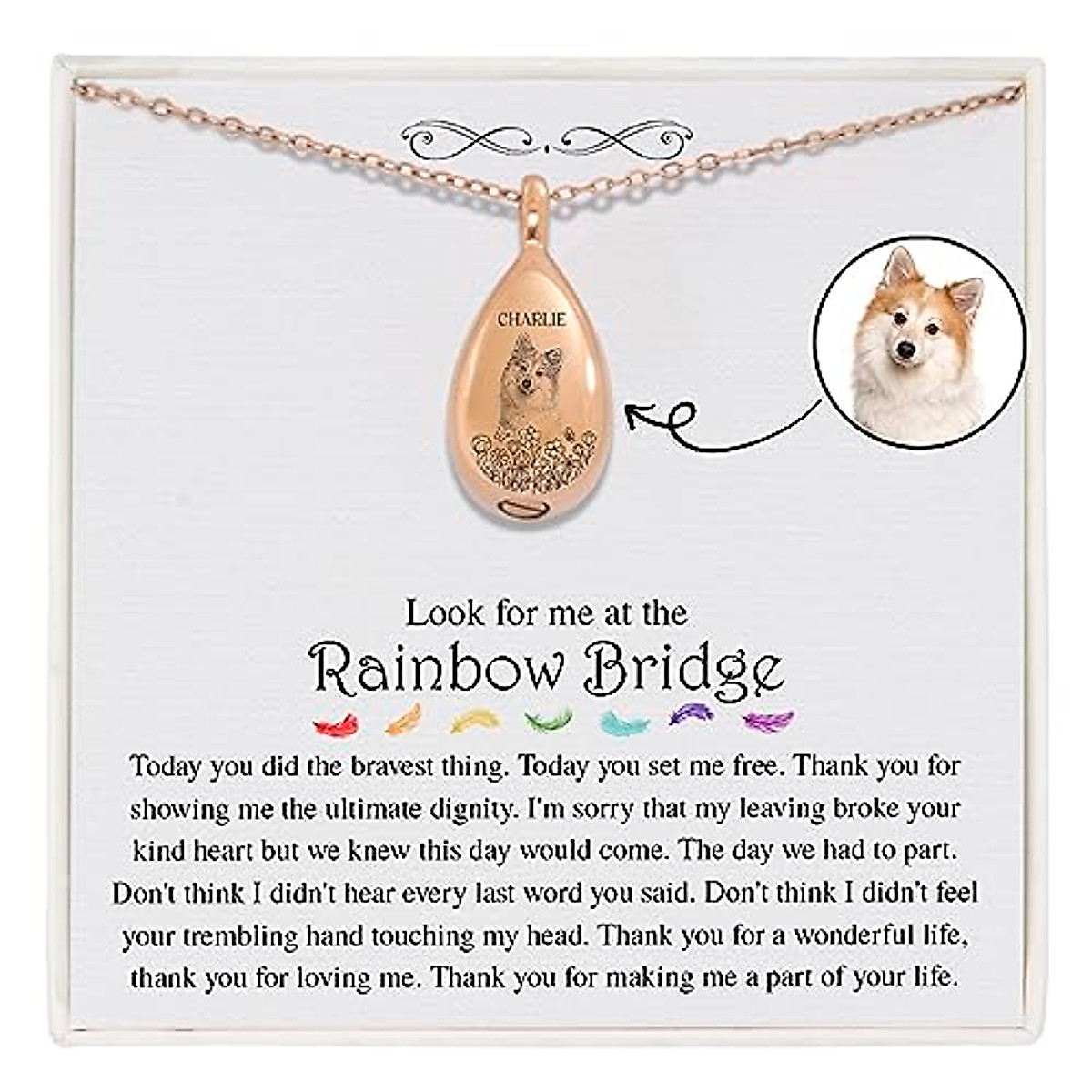 AX Minimalist Personalized Teardrop Urn Necklace For Dog Ashes, Rainbow Bridge Dog Necklace, Memorial Gifts, Rainbow Bridge Sympathy Gift (UNL-S23)