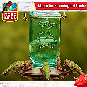 More Birds Mason Jar Hummingbird Feeder, Glass Hummingbird Feeders for Outdoors, 5 Feeding Stations, 25 Ounces