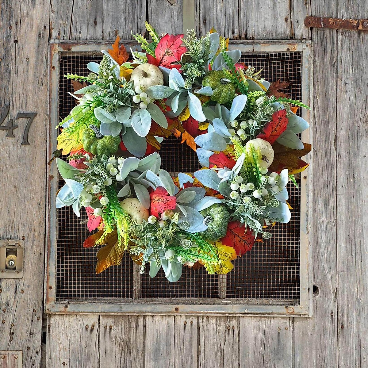 Fall Wreaths for Front Door Harvest Wreath with White Pumpkin Cotton Lamb's Ear Eucalyptus Leaves Farmhouse Autumn Wreath for Thanksgiving Halloween Decoration Indoor Outdoor (Maple-13.77IN)