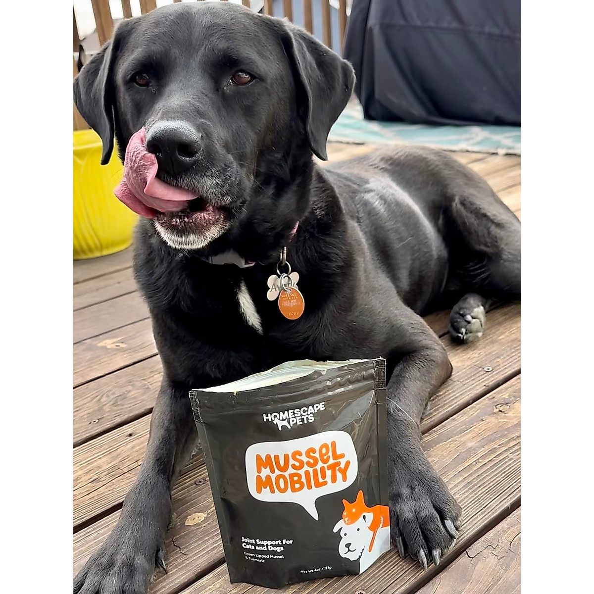 Homescape Pets Mussel Mobility - Green Lipped Mussel & Turmeric for Dogs - Hip & Joint Pain Relief Anti-Inflammatory Meal Topper Powder - Better Mobility, Less Stiffness and Aches - Vet Recommended