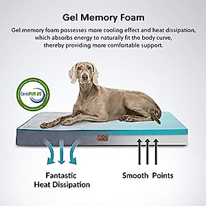 Bedsure Orthopedic Dog Bed for Extra Large Dogs - XL Memory Foam Dog Beds, 2-Layer Thick Pet Bed with Removable Washable Cover and Waterproof Lining (44x32x4 Inches), Grey
