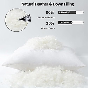 Botduck Goose Down Feather Pillows Standard Size Set of 2 Pack Hotel Collection Bed Pillow for Sleeping Medium Firm Support for Side Stomach & Back Sleepers, 20x26 Inch