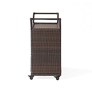 Christopher Knight Home Azriel Indoor Wicker Bar Cart, Multibrown