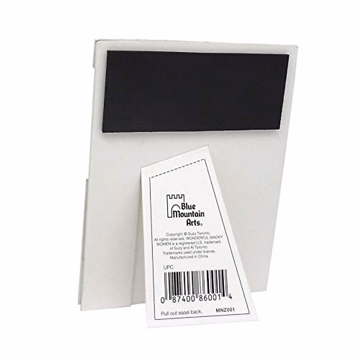 Blue Mountain Arts Son Magnet with Easel Back—Birthday, Holiday, Graduation, or "I Love You" Gift by Suzy Toronto, 4.9 x 3.6 Inches (Wonderful Wacky Words of Wisdom for My Son)