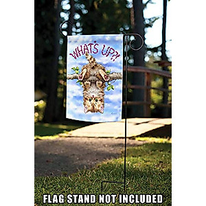 Toland Home Garden 1110807 What's Up Cat Flag 12x18 Inch Double Sided Cat Garden Flag for Outdoor House Kitten Flag Yard Decoration