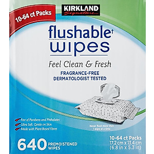 Kirkland Signature Moist Flushable Enhanced Cleansing & Freshness Ultra Soft Hypoallergenic Plant-Based Wipes - 640 Count