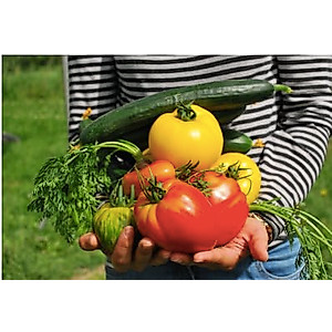 HomeGrownWorms - 250+ (1/4LB) Live Red Wiggler Composting Worms - Live Delivery - Vermicomposting Garden Red Wrigglers - Eisenia Fetida - Wiggle Worm Farm