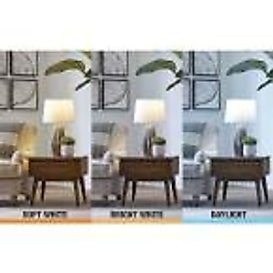 Ecosmart LED 60-Watt Equivalent A19 Dimmable Energy Star LED Light Bulb Bright White (3000K)(16-Pack)