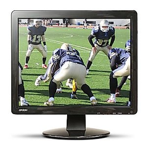Orion Images Corp 17RCE 17-Inch Commercial Grade LCD Monitor (Black)