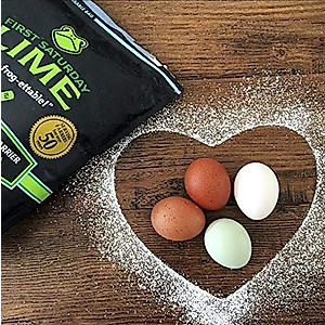 First Saturday Lime for Insects 20lb