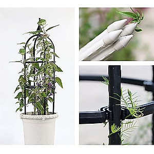 Plant Climbing Frame Natural U-Hoops Plants Stand Adjustable 20 X 60cm Stainless Steel White Black Garden Rose Trellis
