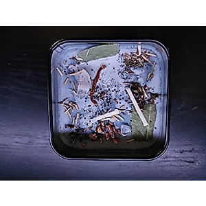 Hex Breaker Hoodoo Conjure Candle for Hoodoo and Wiccan Witchcraft Magick