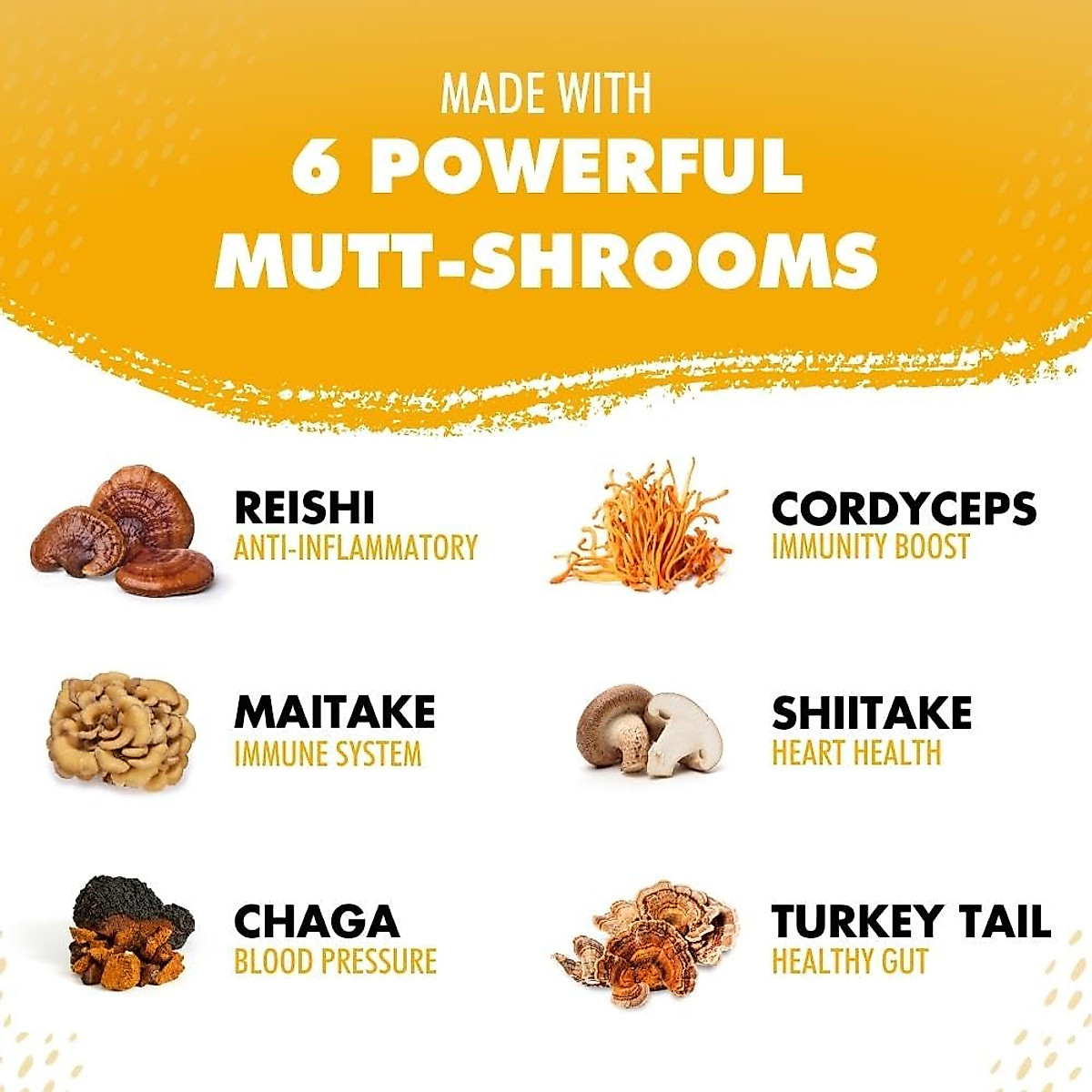 iHeartDogs Bone Broth for Dogs - Bone Broth & Mushroom Gold Powder Supplement for Immune System Support, Improved Mobility & Flexibility and Natural Detox - Turkey Tail Mushroom for Dogs