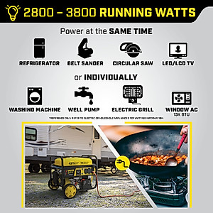 Champion Power Equipment 201181 4375/3500-Watt Remote Start Portable Generator, CO Shield