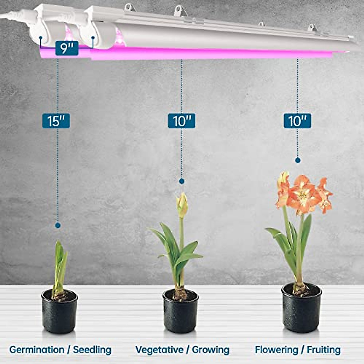 Barrina LED 4FT, 168W(4 x 42W, 1000W Equivalent), Full Spectrum, V-Shape with Reflector, Grow Light Strip for Indoor Plants, 4-Pack