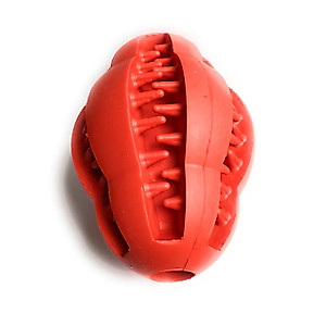 Nibble Pet Products Healthy Teeth Interactive Dog Toy Chew, Red