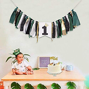 Wild One 1st Birthday Banner - Green and Black Wild One Birthday Decorations for Child’s 1st Birthday Party - Wild One Cake Smash Backdrop (Green Wild ONE)