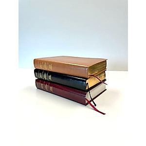 Santa Biblia NTV, letra súper gigante (Tapa dura, Vino tinto, Letra Roja) (Spanish Edition)