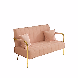 Mbolyeer Modern Bouclé Loveseat Sofa: 60" Mid Century 2 Seater Teddy Velvet Couch- Comfy Upholstered Sofa Couch with 2 Pillows - Gold Metal Legs - Small Spaces Apartment Office Bedroom (Pink)